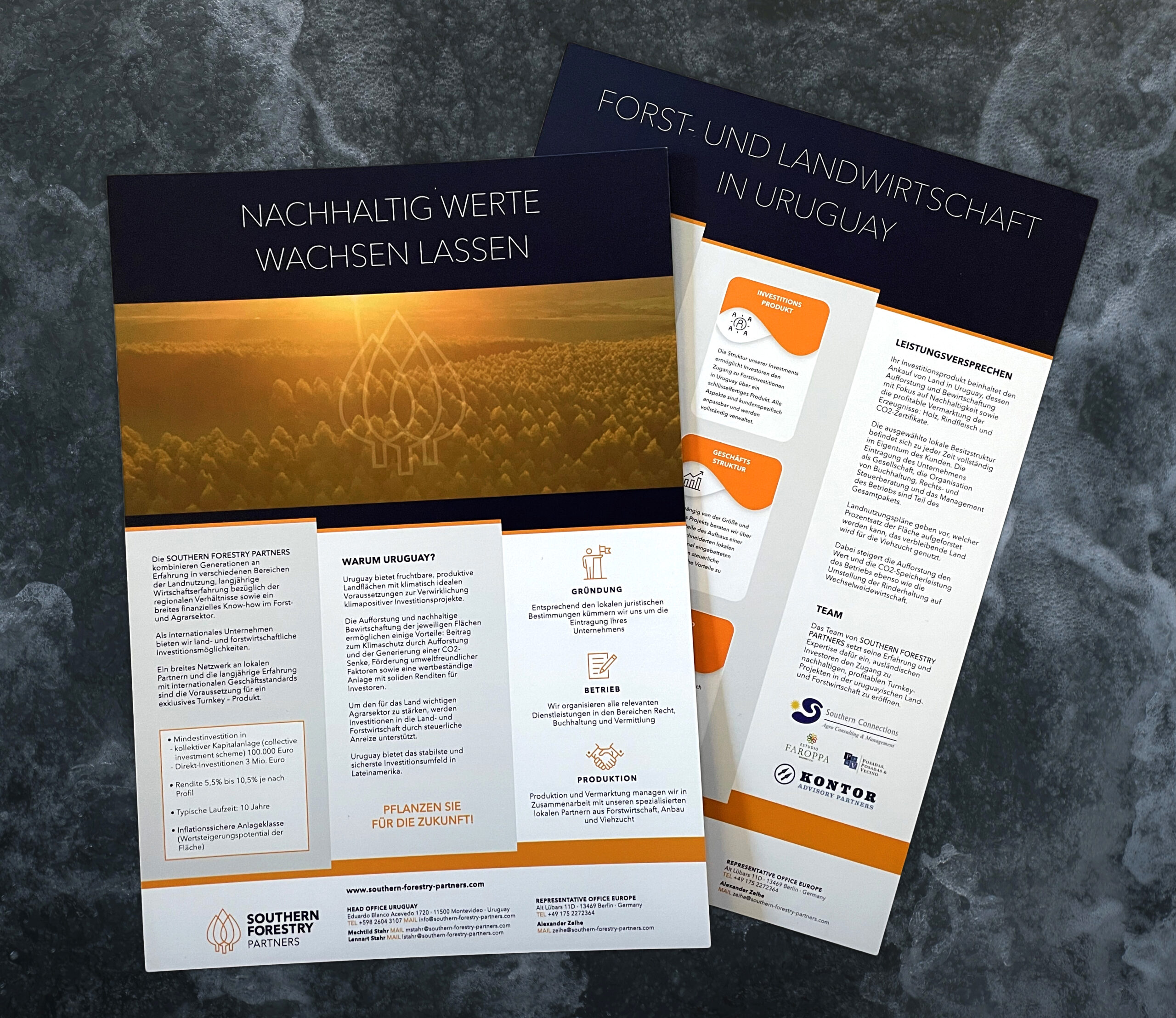 Graphic Design - Stahr Silke │ Visual Artist