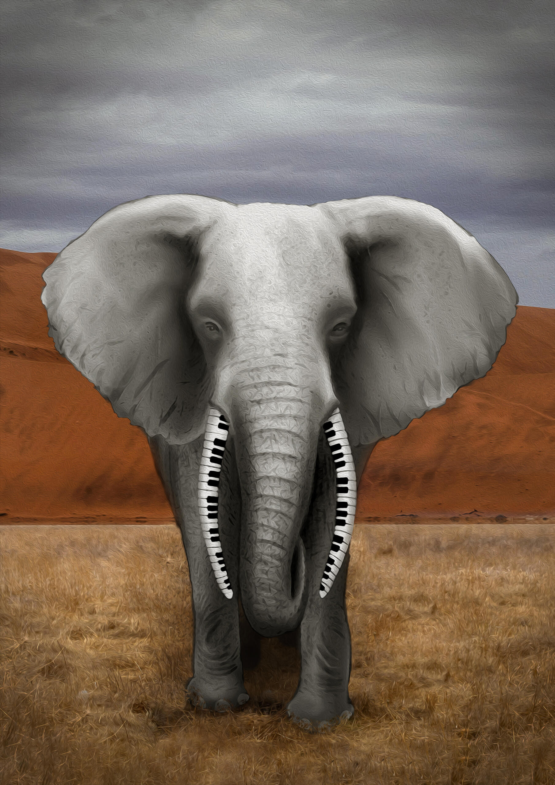 Graphic Design - Stahr Silke │ Visual Artist